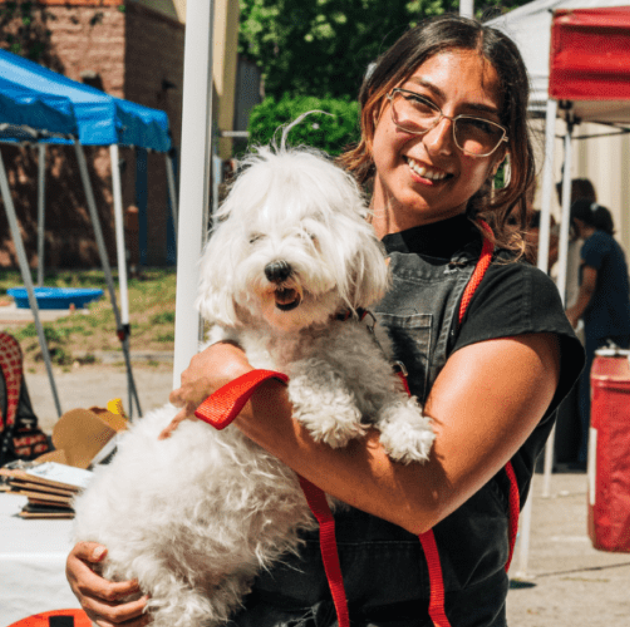 Home - Michelson Found Animals