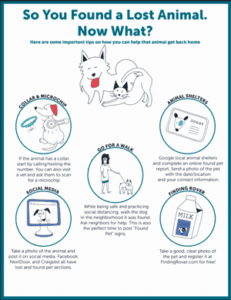 Found Pet Resources - Michelson Found Animals