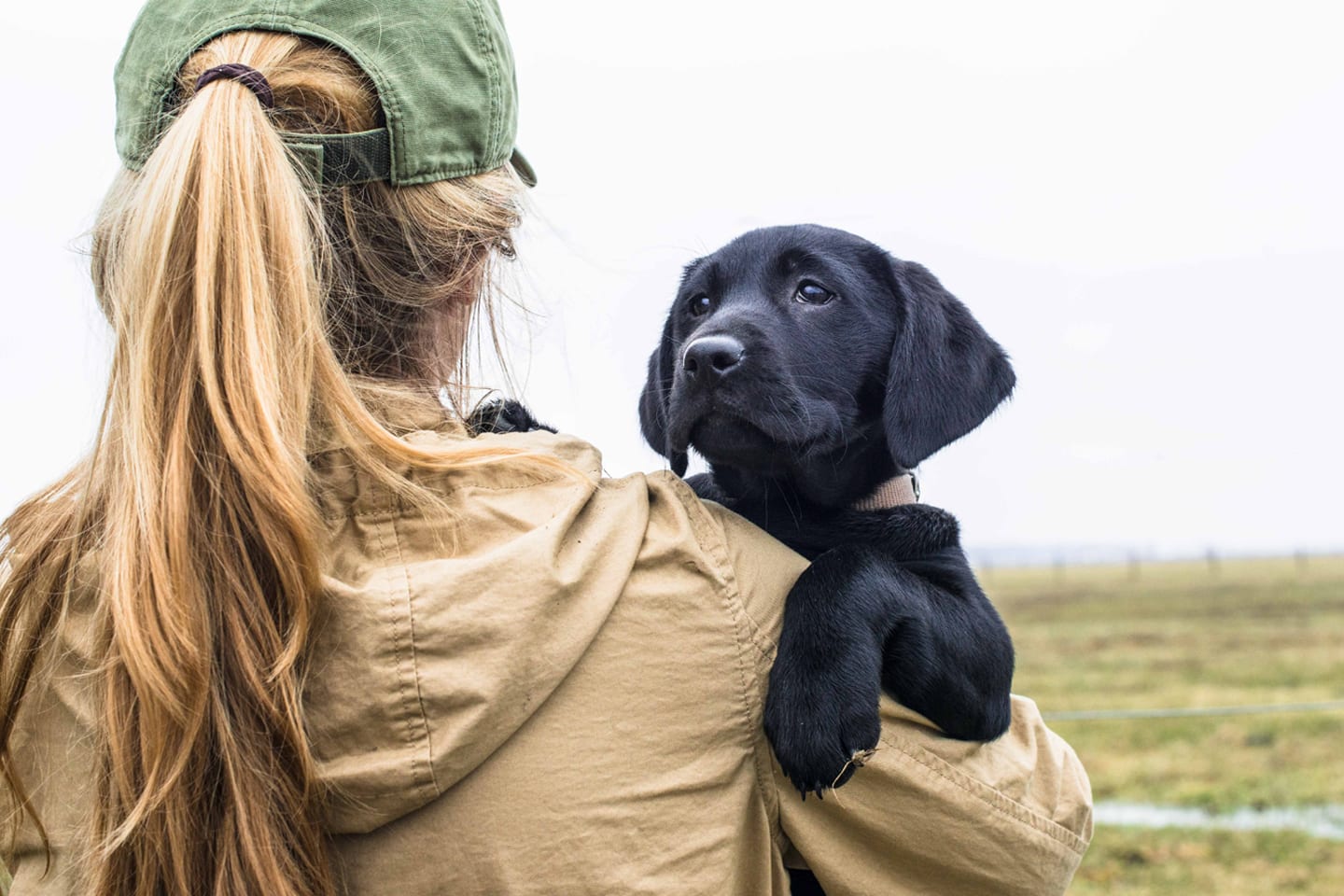 Our Top 5 Female Animal Rights Celebrities | Michelson Found Animals