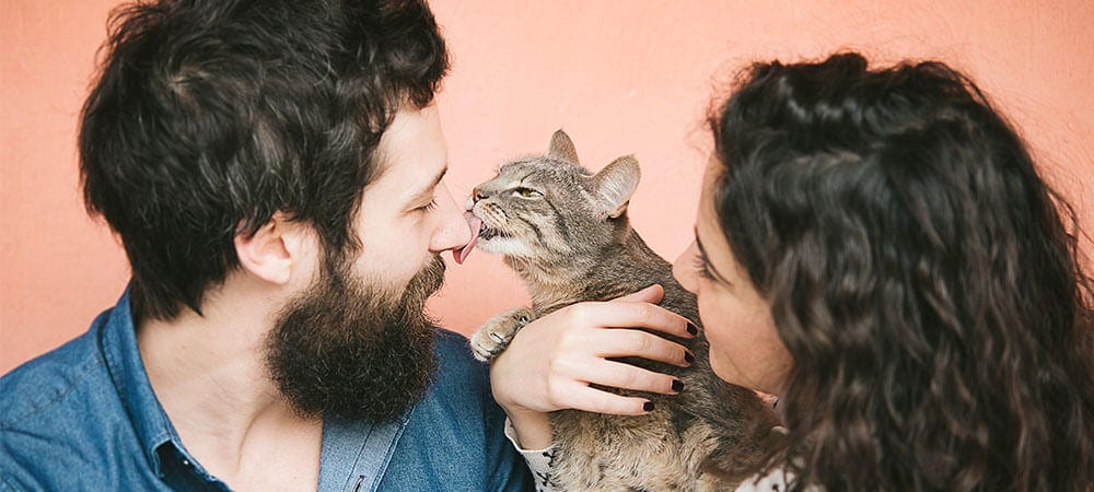 Feline First Impressions – Cat Dating Tips - Michelson Found Animals