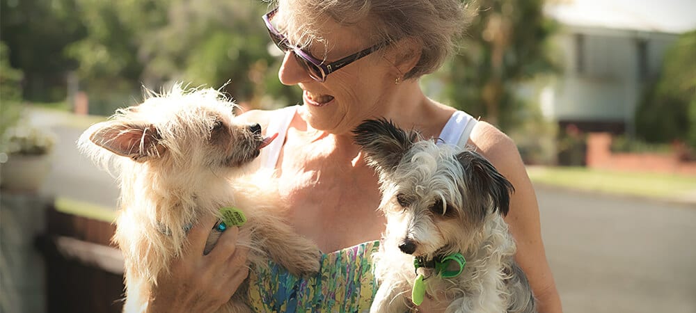 National Pet ID Week - Michelson Found Animals Foundation