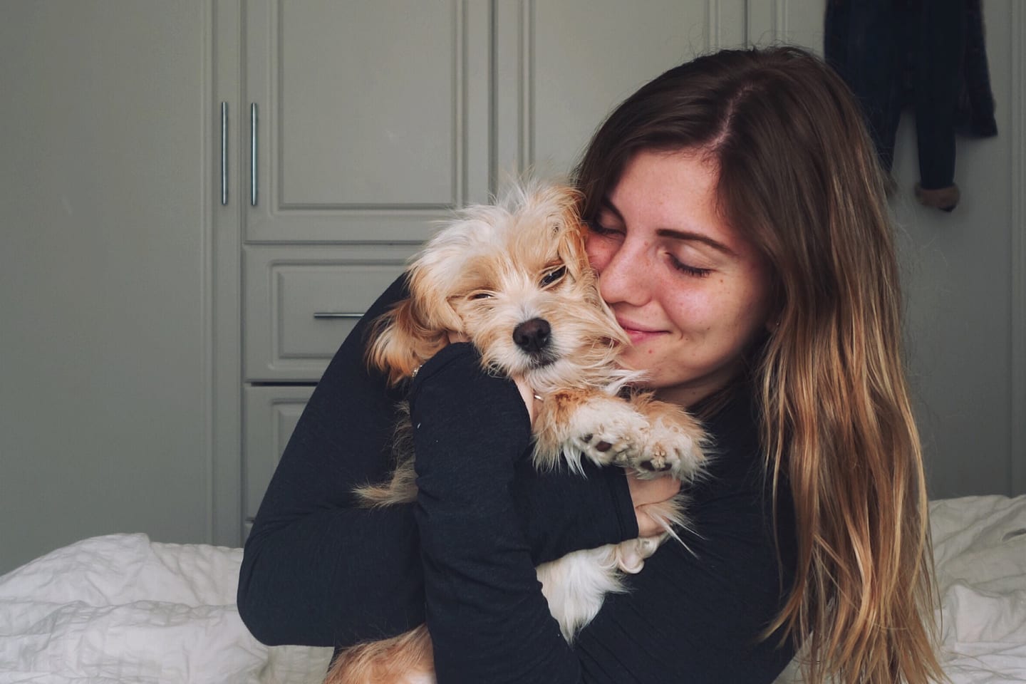 10 Types of Emotional Support Animals