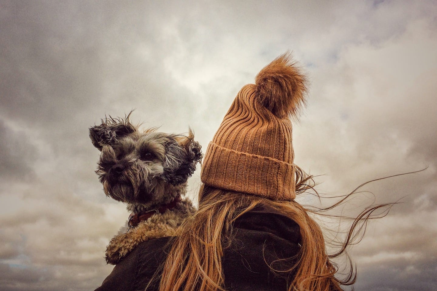 Disaster Preparedness for Your Pet - Michelson Found Animals Foundation