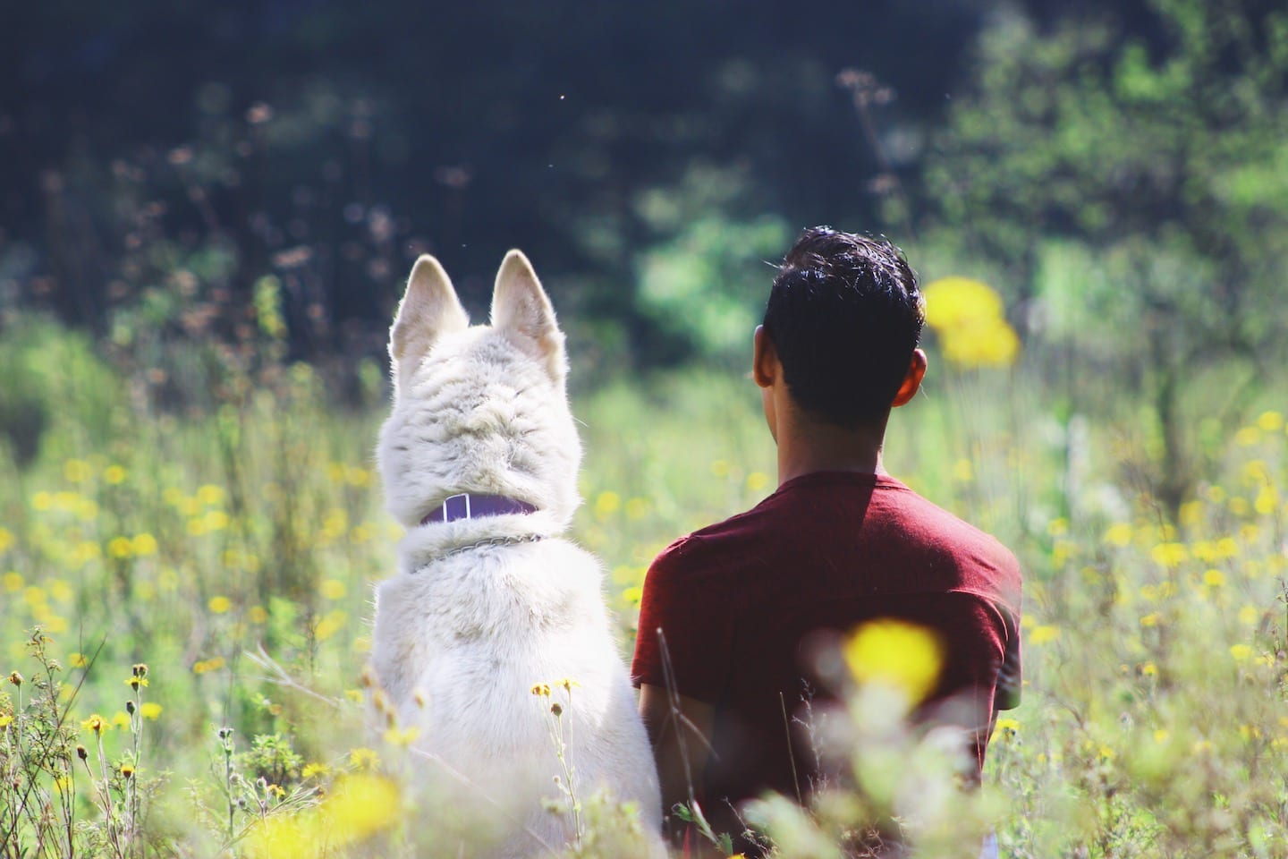 #BetterTogether: Why Are Dogs are Man's Best Friend?