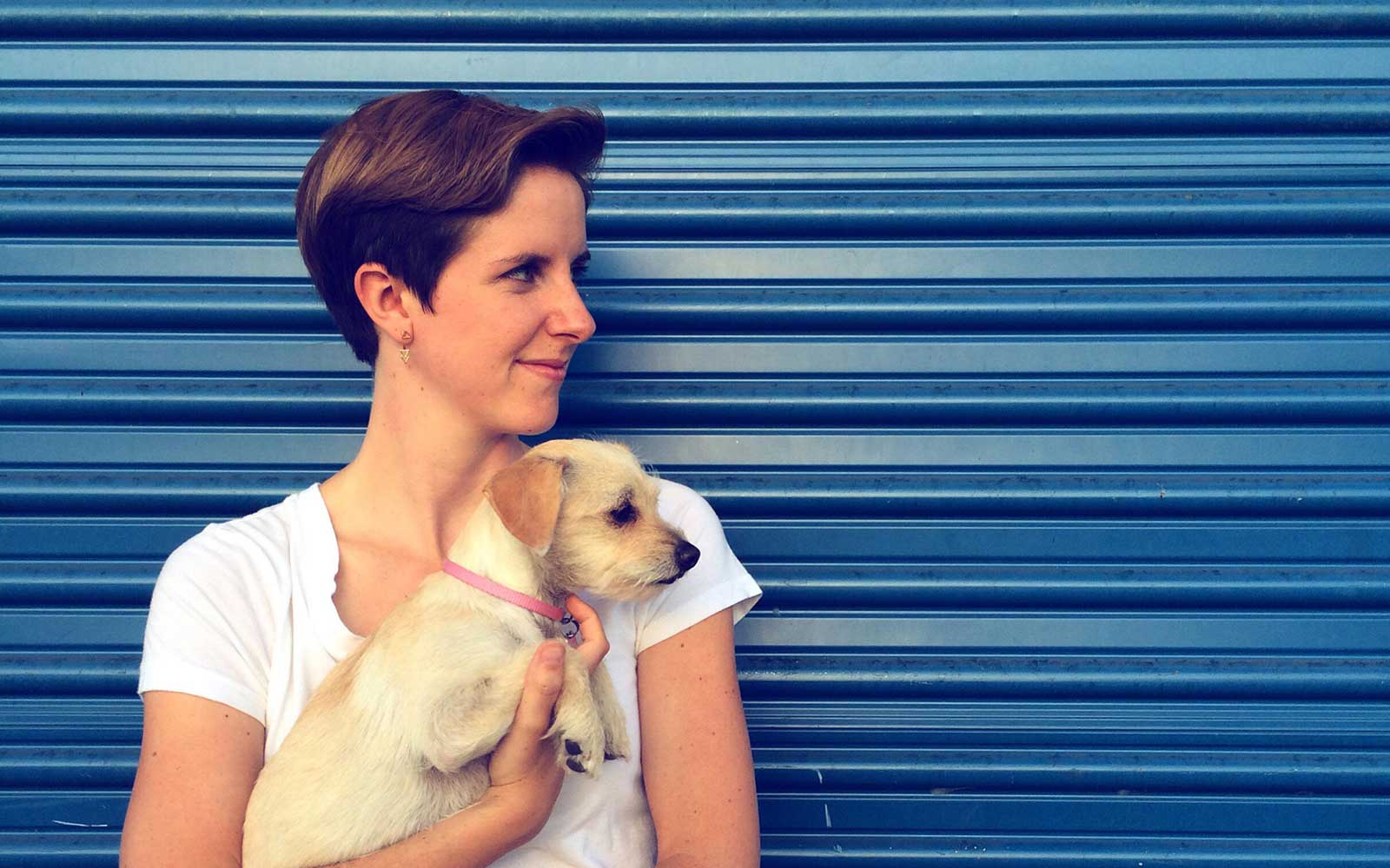 What is a Spay? - Michelson Found Animals Foundation