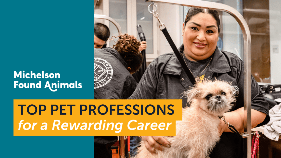 Top Pet Professions for a Rewarding Career