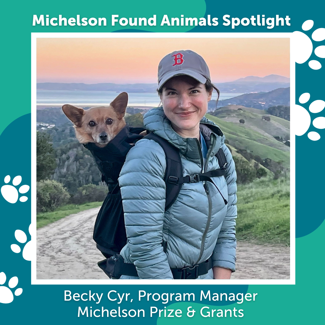 Found Animals Spot Light: Becky Cyr and the Soul-Dog