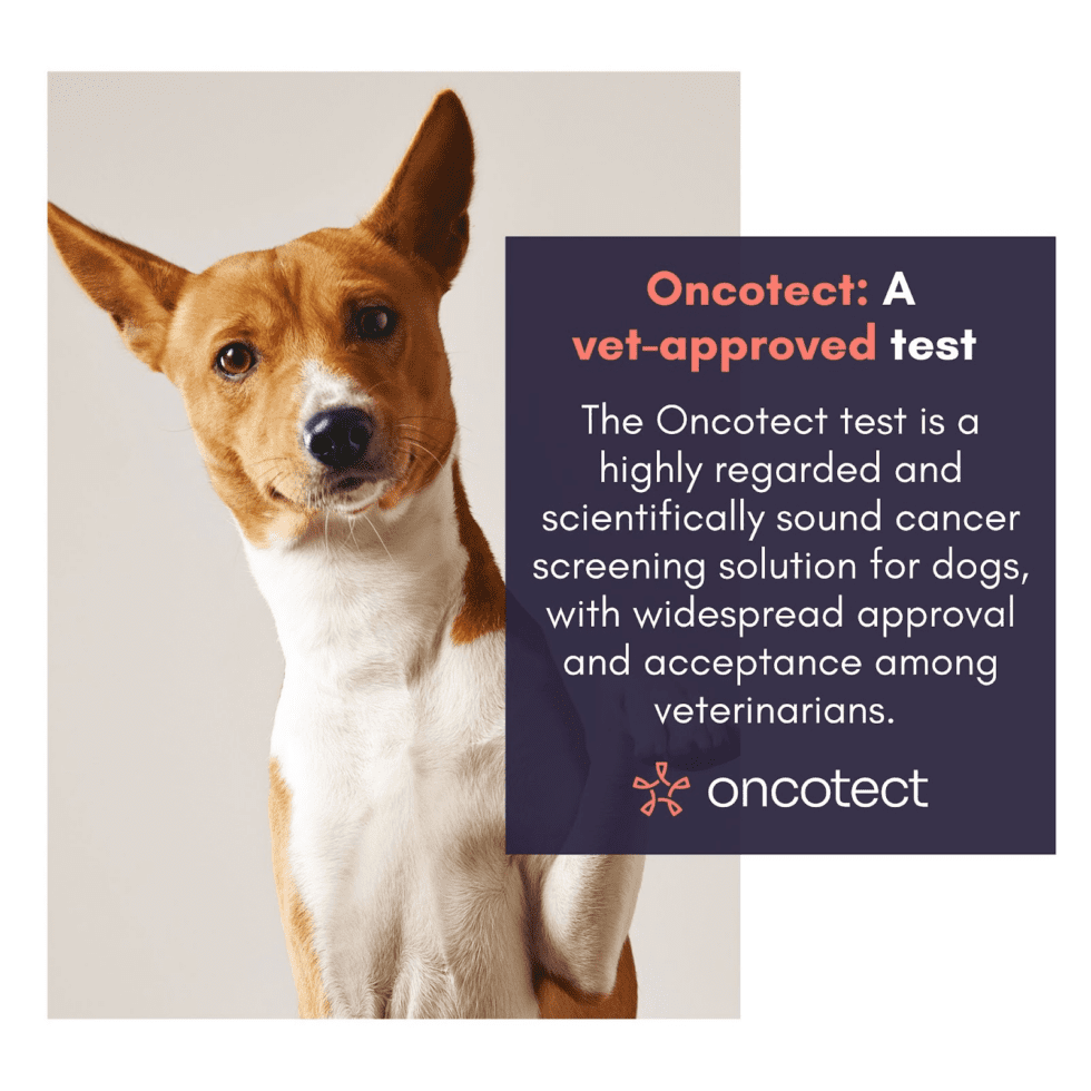 The 2023 Michelson Found Animals Holiday Gift Guide for Pets