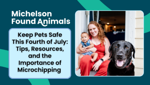 How Big is a Microchip? | Size of Microchip